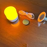 Eocean E27 Rechargeable Light Bulbs with Remote Control, Wireless Light ...