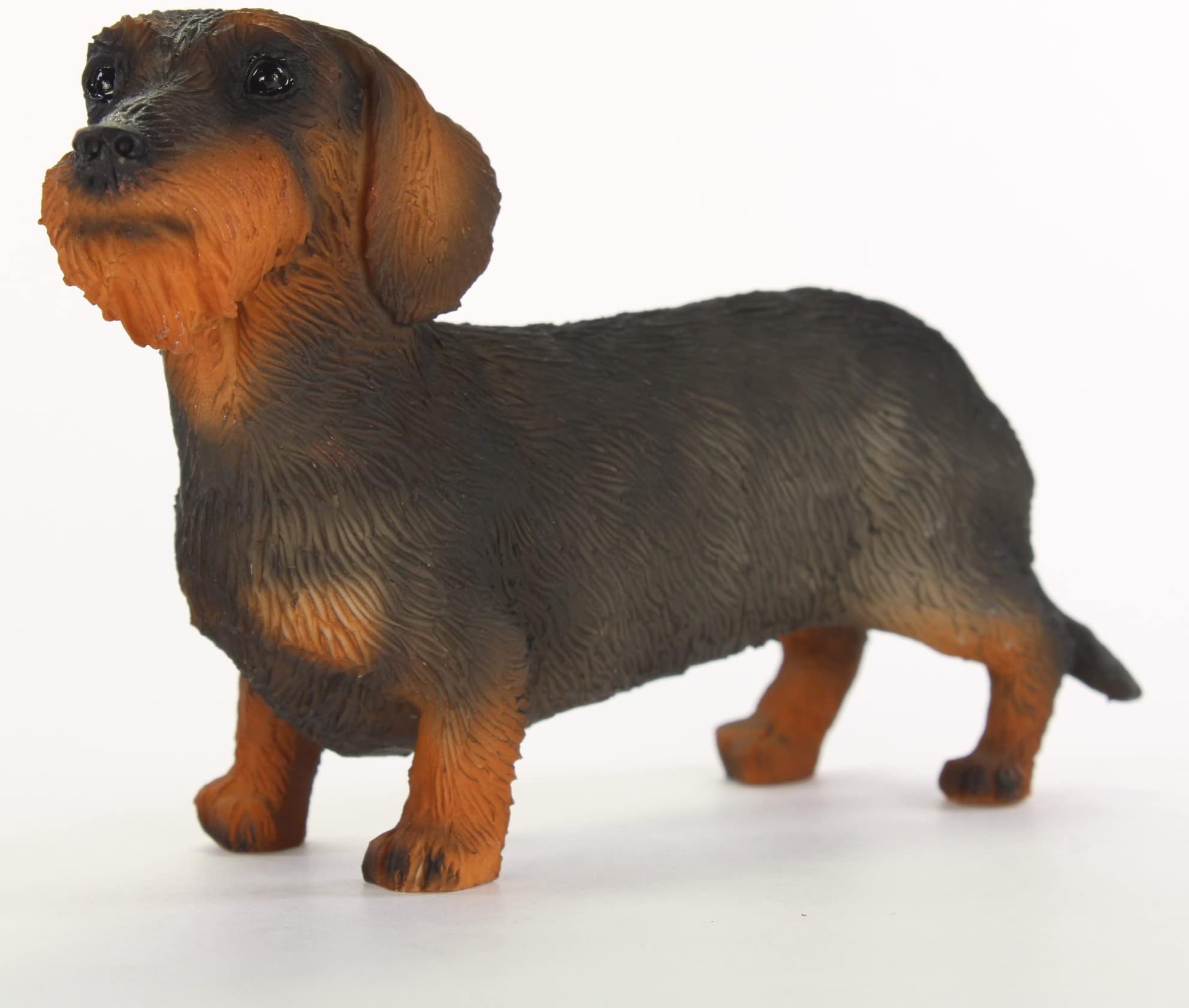 Amazon.com: Conversation Concepts Wirehaired Dachshund Figurine : Home ...