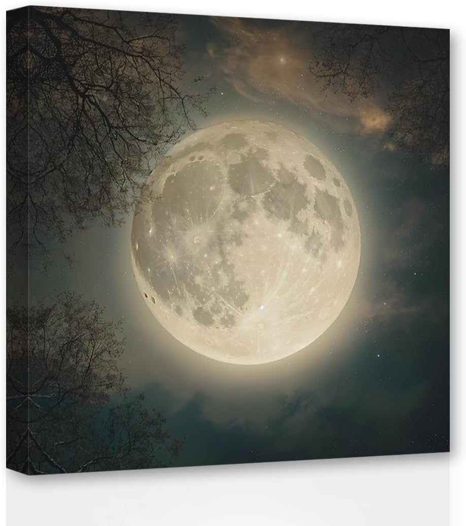 Amazon.com: CCWACPP Full Moon Canvas Wall Art Moon and Tree Starry Sky ...