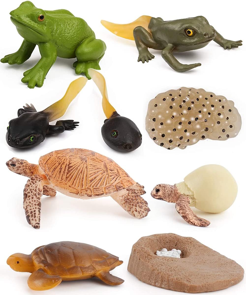 Gemini&Genius Animal Toys Frog and Sea Turtle Insect Growth Diary, Life ...