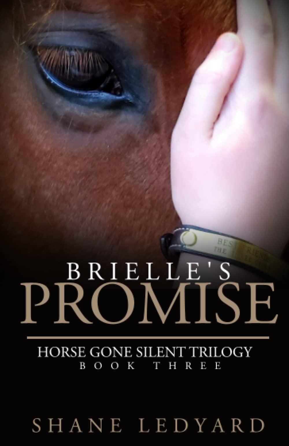 Amazon.com: Brielle's Promise: Horse Gone Silent Trilogy Book 3: ...