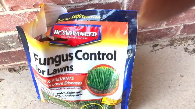 Watch What you should know about the BioAdvanced Fungus Control! on ...
