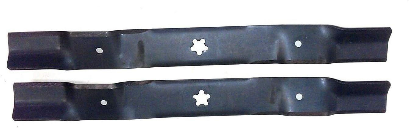 Amazon.com: (New Part) 2PK Original 422719 Craftsman Blades Compatible ...