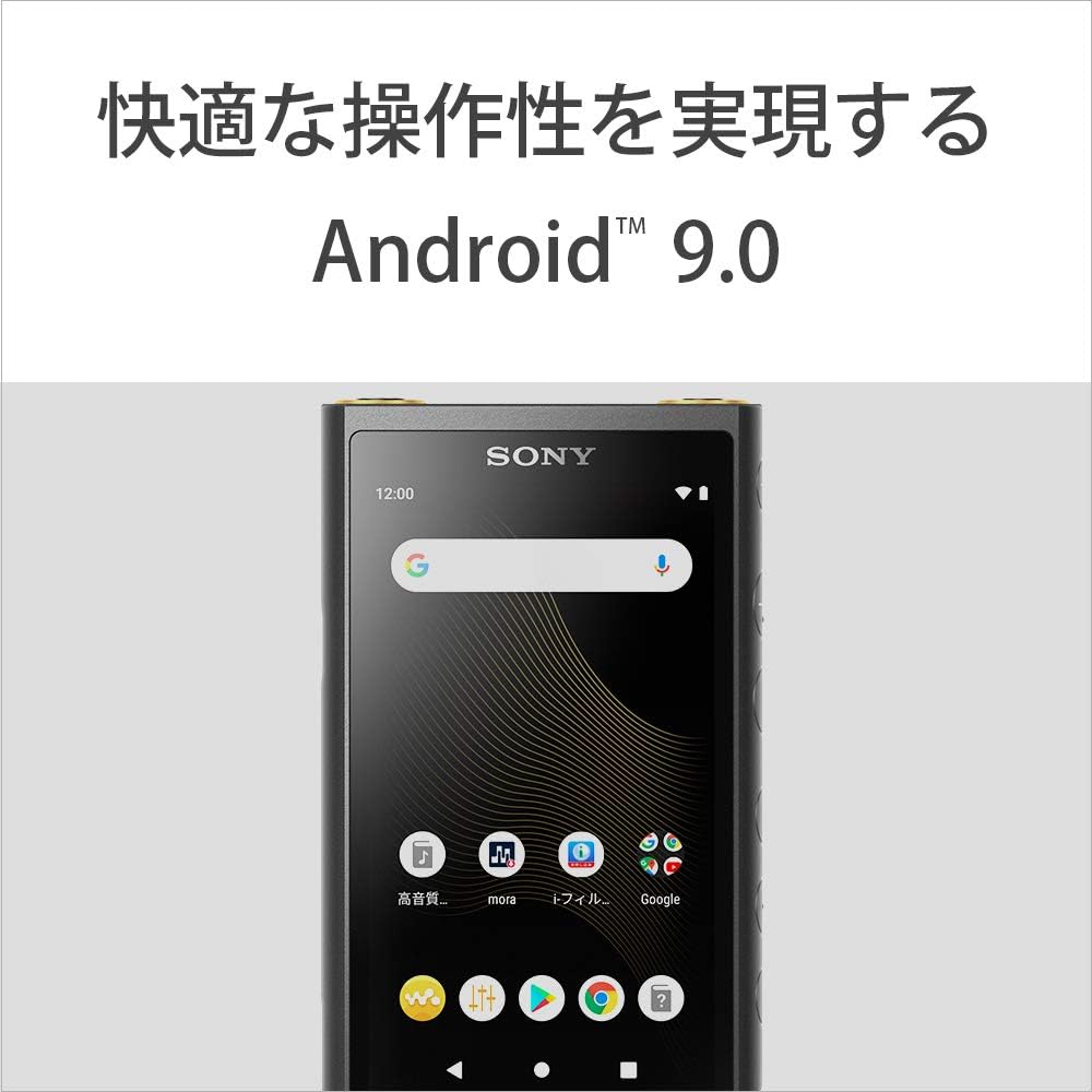 Sony Walkman NW-ZX507 64GB ZX Series NW-ZX507: High Australia | Ubuy