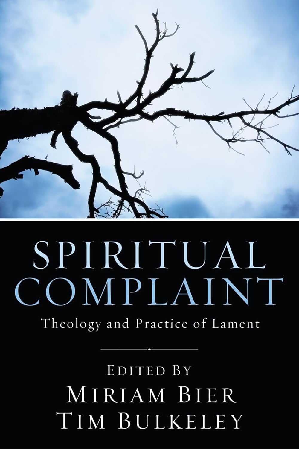 Spiritual Complaint: The Theology and Practice of Lament: Bier, Miriam ...