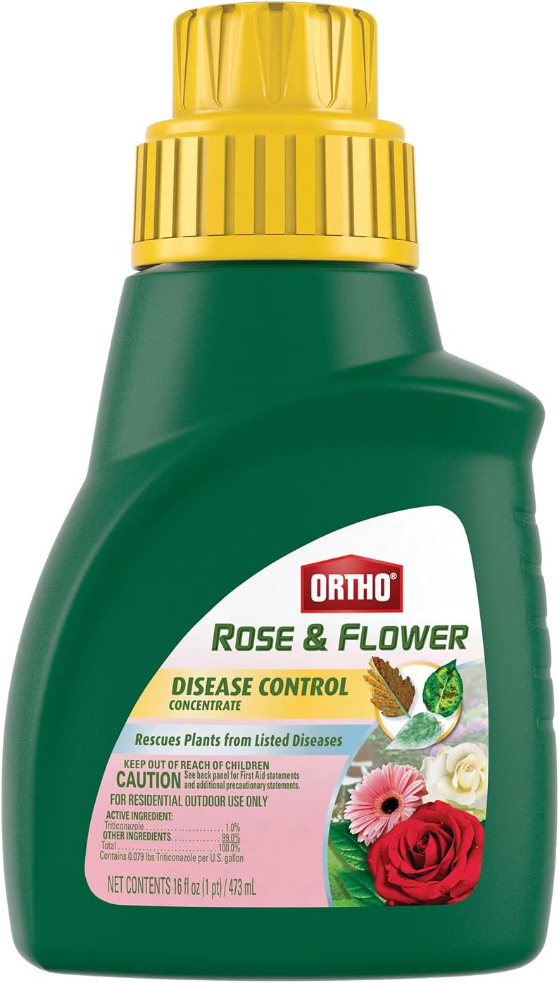 Amazon.com: Ortho Rose & Flower Disease Control Concentrate, 16 oz ...