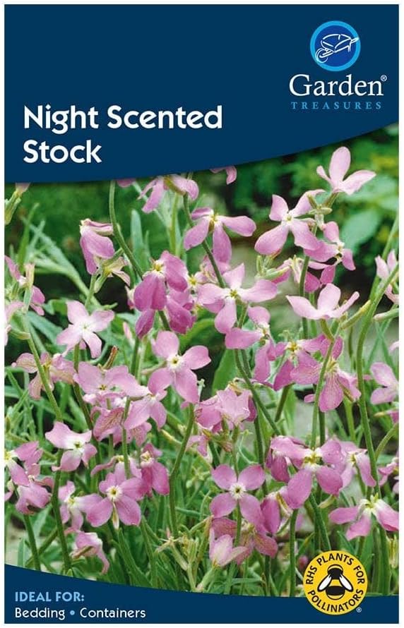 Garden Treasures Night Scented Stocks Seeds Grow Your Own Flowers ...