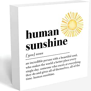 Amazon.com: bitCNY Human Sunshine Gift, Motivational Gift for Women Men ...