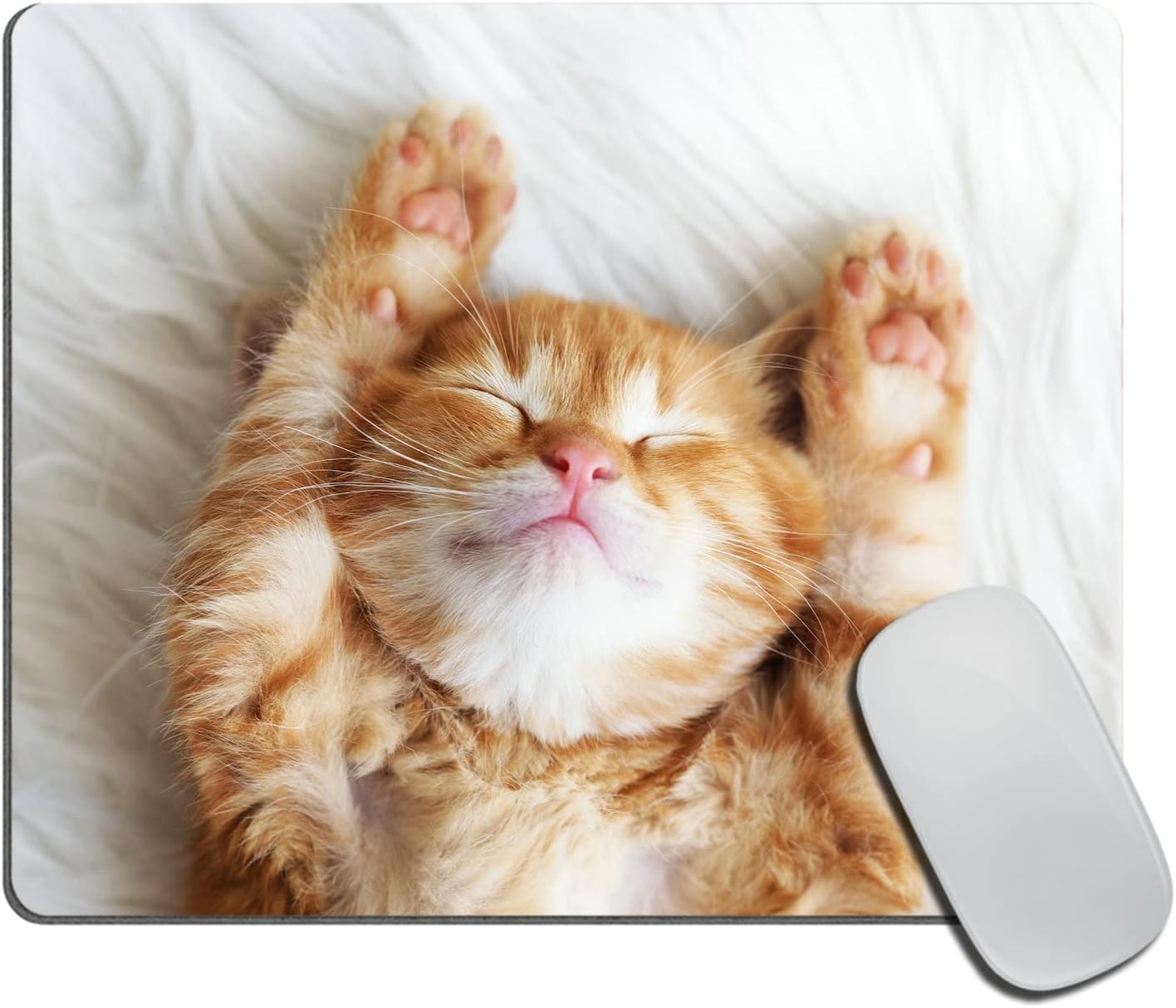 Amazon.com : Kitten Flower Cute Funny Group Cat Animal Pet Mouse Pads ...