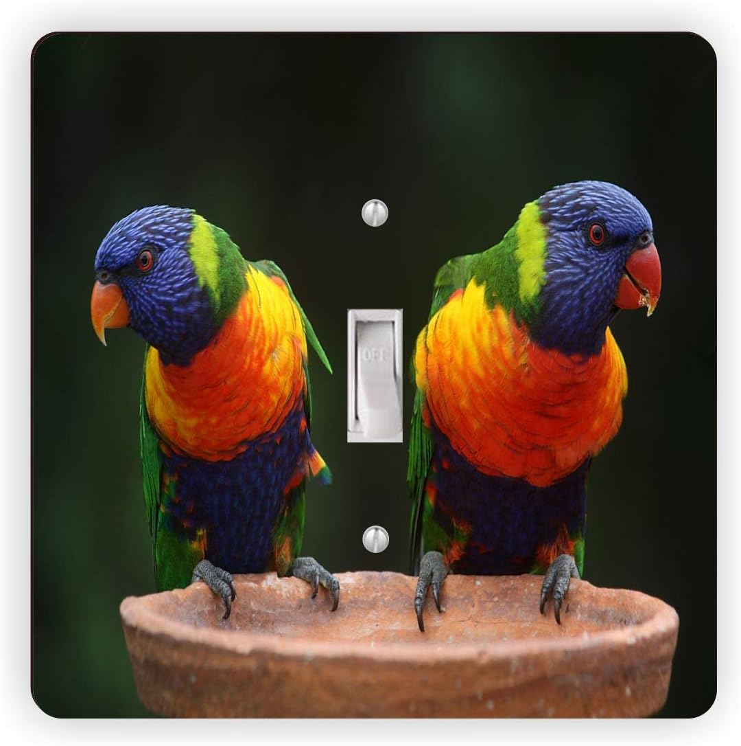 Rainbow Parrots Vivid Colors - Light Switch Plate Cover - Single Toggle ...
