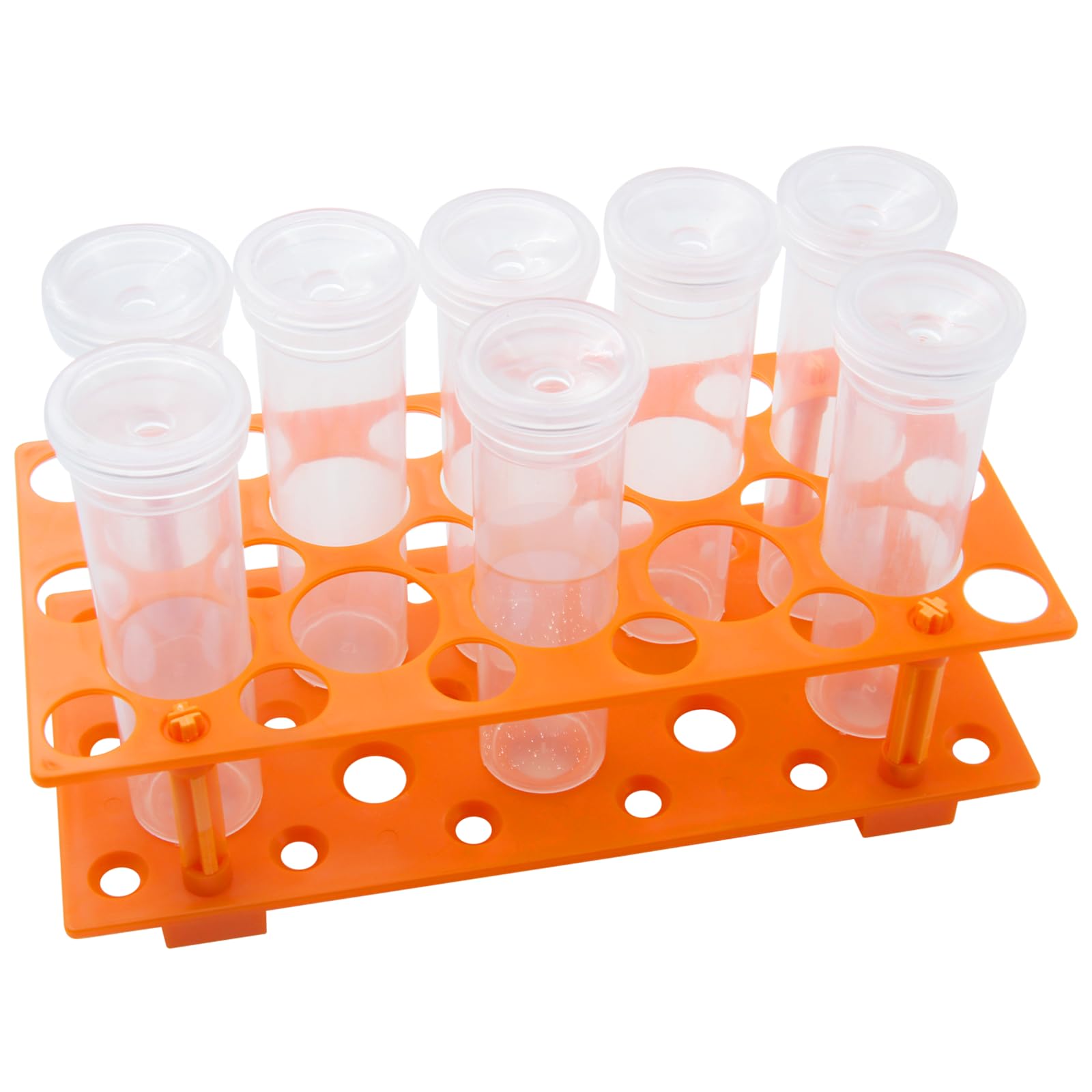Amazon.com: 8Pcs 60ml Large Floral Tubes with Rack Holder, Detachable ...