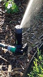 Amazon.com : Quick-Snap QSK-745 In-Ground 5-Inch Pop-Up Adjustable ...