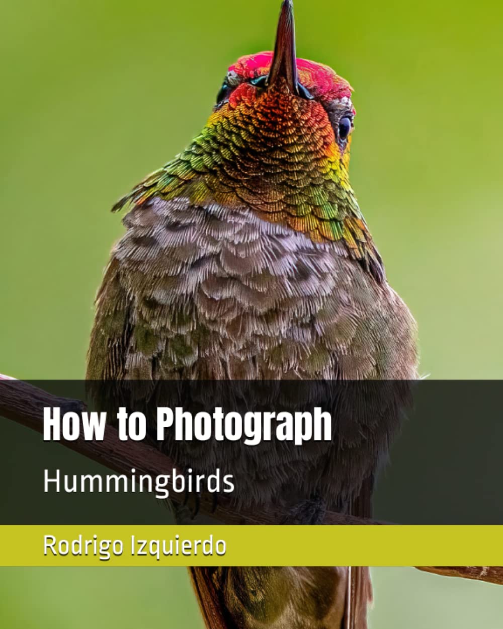 How to Photograph: Hummingbirds: Izquierdo, Rodrigo M: 9798372184701 ...