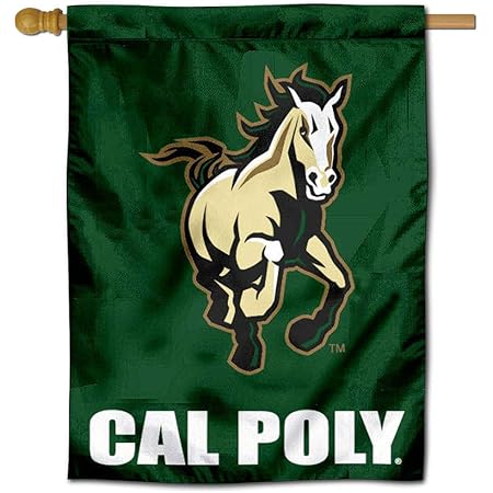Amazon.com : Cal Poly Mustangs San Luis Obispo University Large College ...