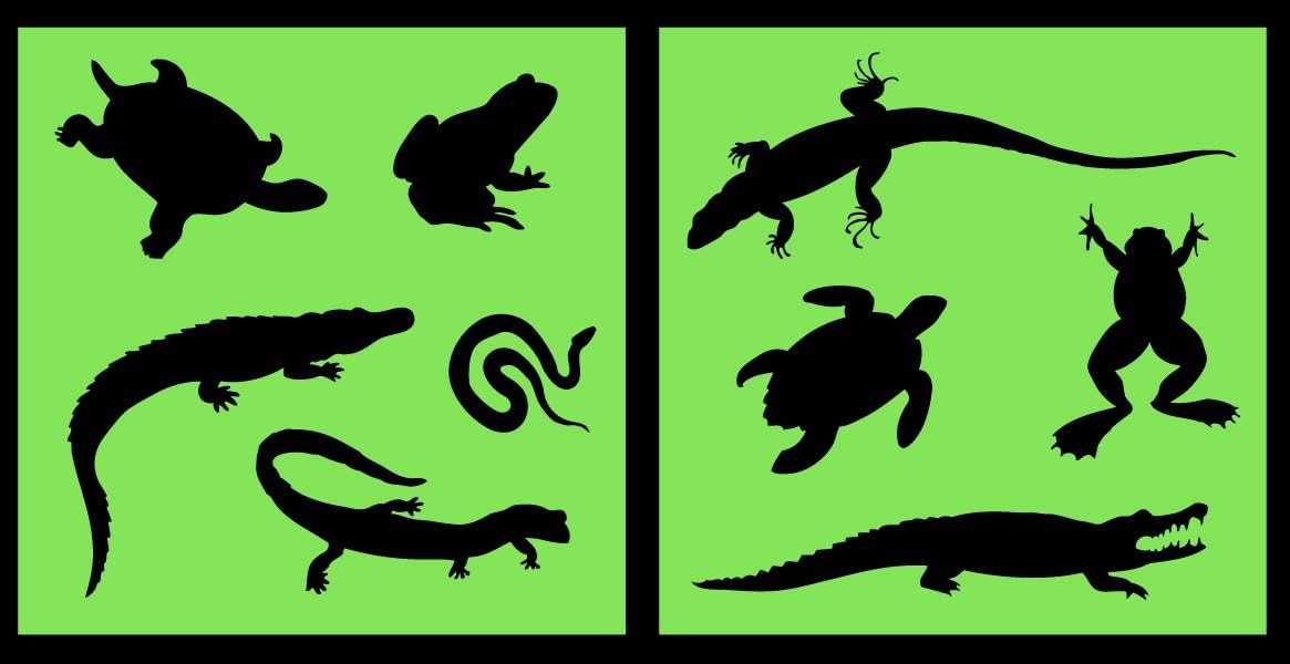 Amazon.com : Auto Vynamics - STENCIL-REPTILESET01-10 - Detailed Lizards ...