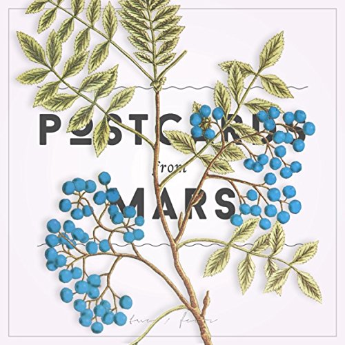 Amazon.com: Two / Four : Postcards From Mars: Digital Music