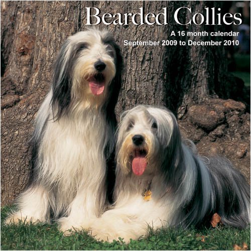 Bearded Collies 2010 Wall Calendar: Magnum: 9781602545663: Amazon.com ...