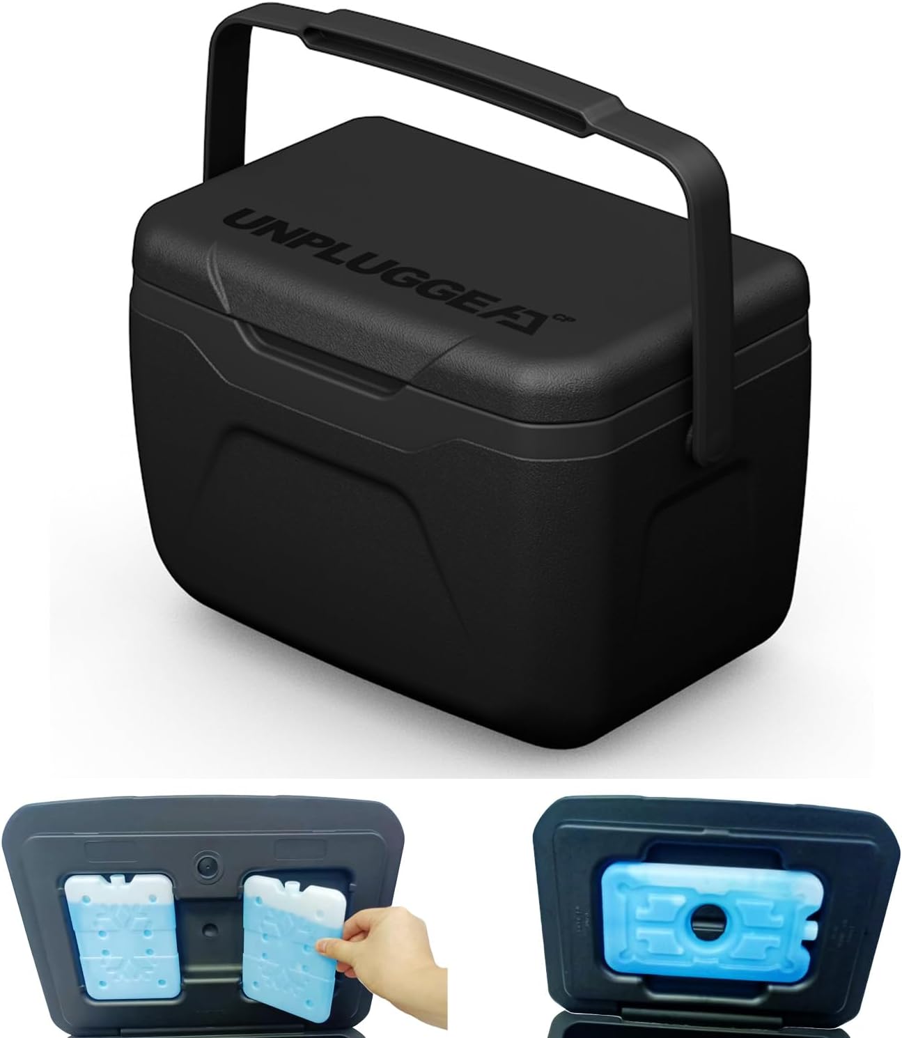 Amazon.co.jp: イグルー(Igloo) クーラーボックス 小型 プレイメイトエリート(15L) ブルー : スポーツ＆アウトドア