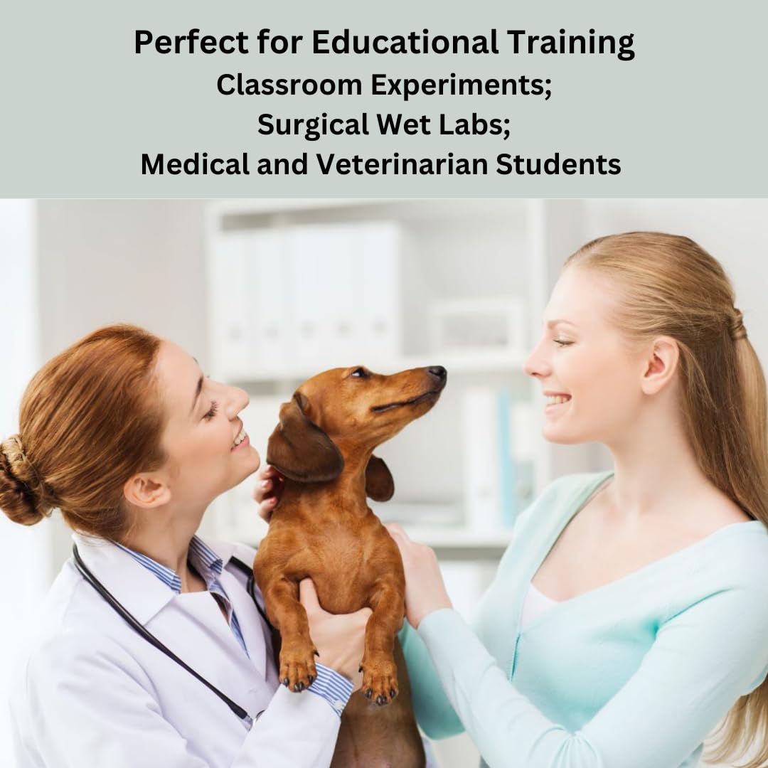 Snapklik.com : ELIMIDE Veterinary Nylon Non-Absorbable Monofilament ...