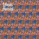 【発売日：2021年10月17日】・製造元:3691495 Records DK