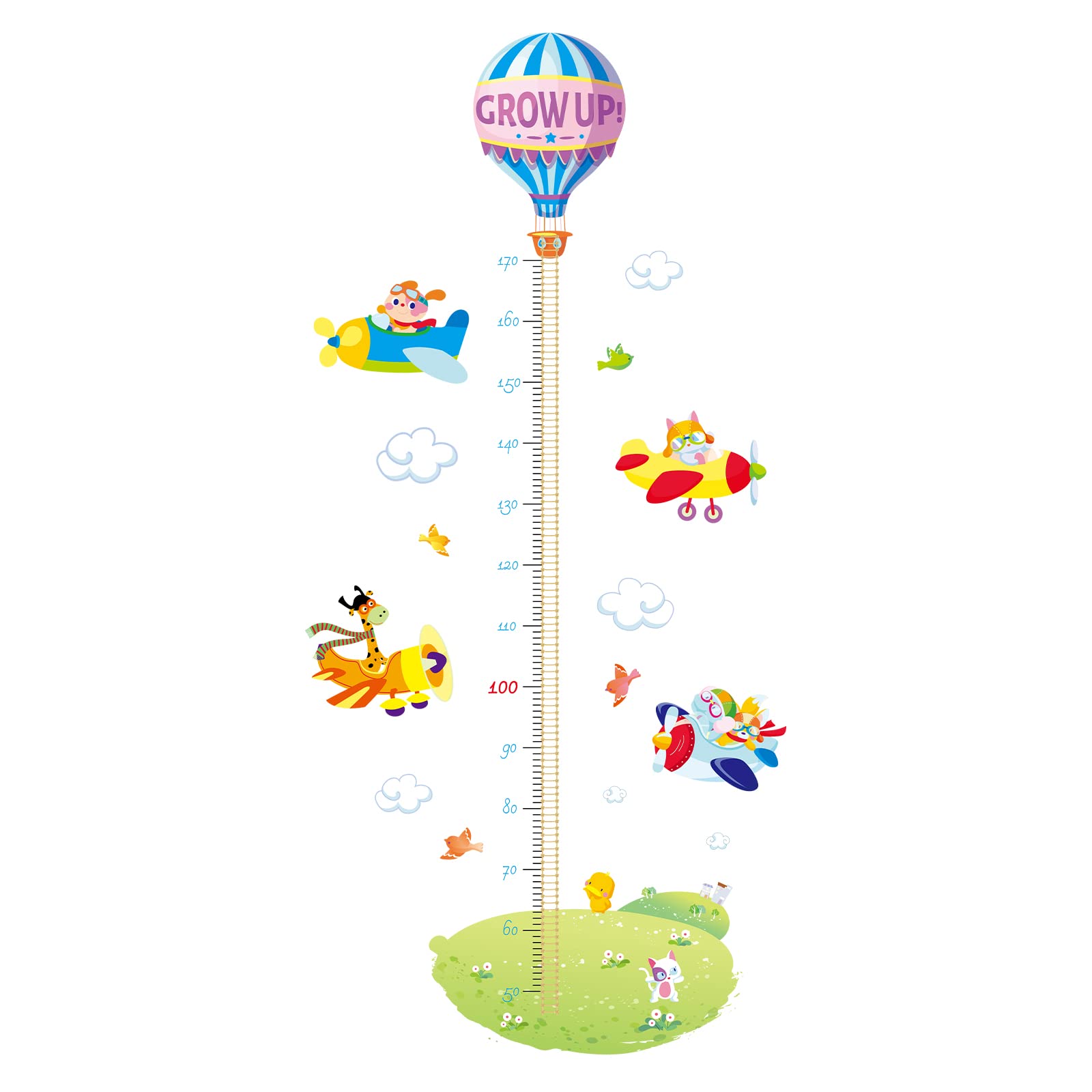 Buy SUPERDANT 3 PCS/set Height Chart Hot Air Balloon Height Chart ...