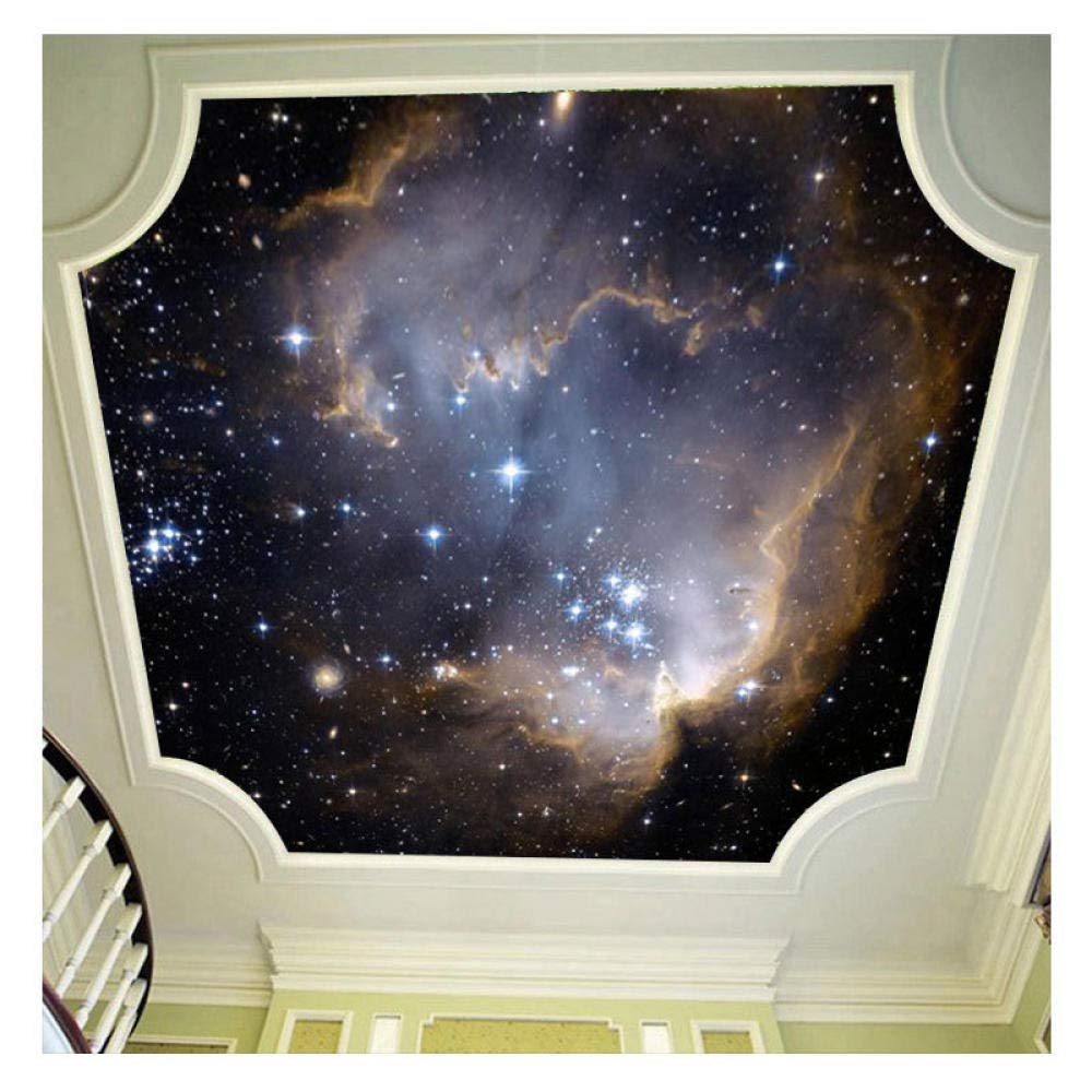Ceiling Murals Night Sky Even Though I've Been Painting Murals Of The