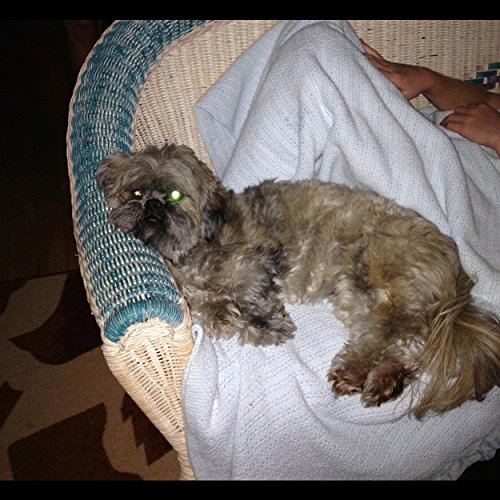 Amazon.com: The Drive Home : Preston James Ruffing: Digital Music