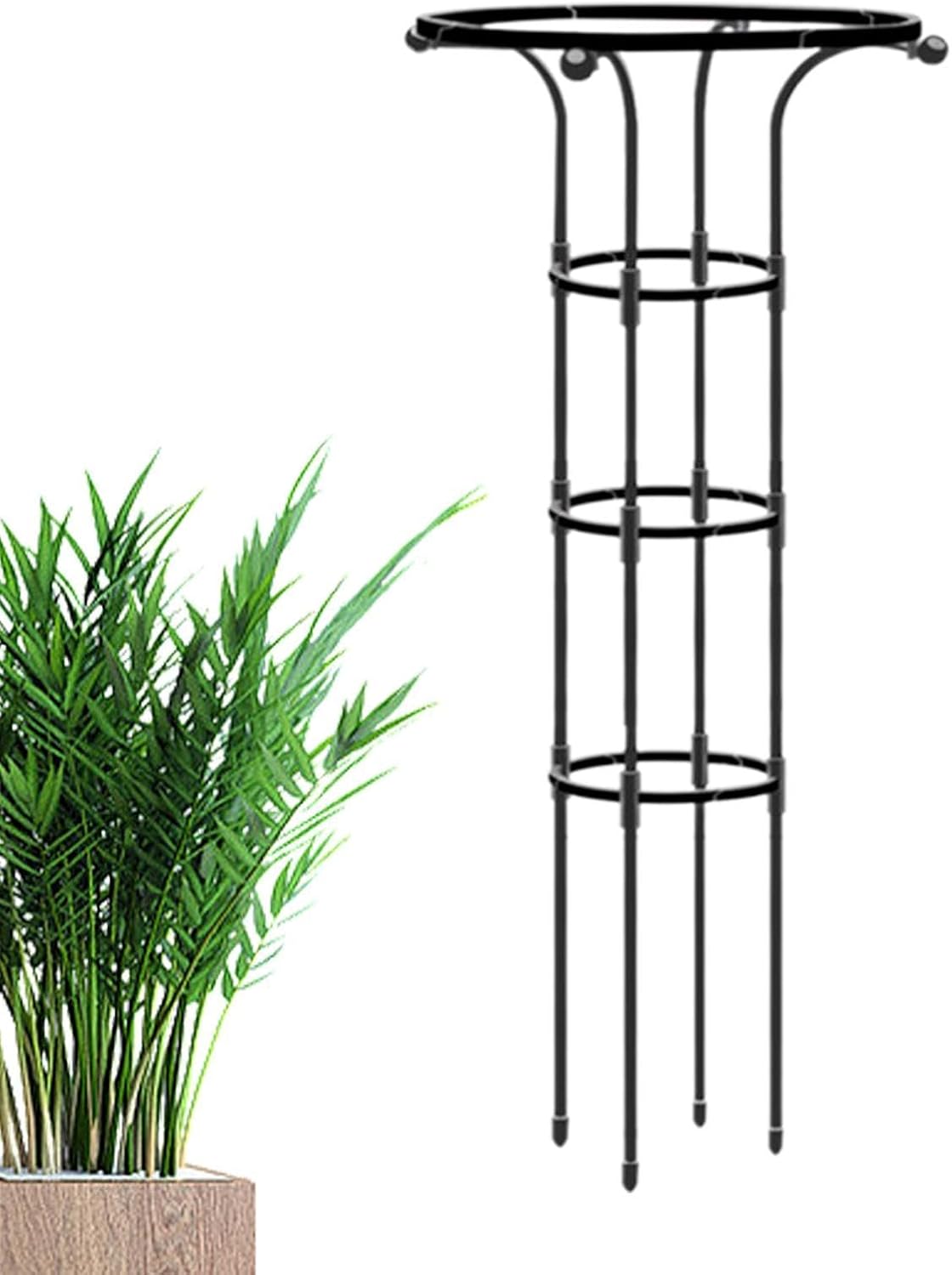 Pomurom Outdoor Garden Metal Obelisk Trellis Climbing Plant Support ...