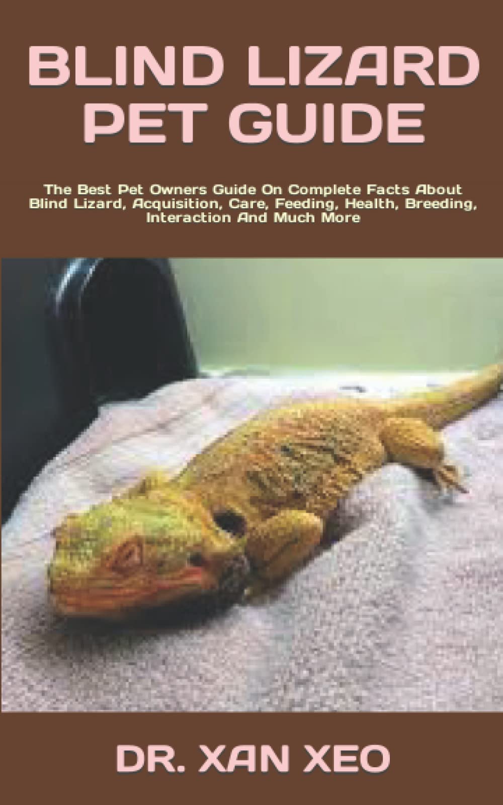 Buy BLIND LIZARD PET GUIDE: The Best Pet Owners Guide On Complete Facts ...