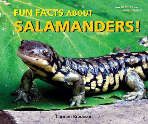 Fun Facts About Salamanders! (I Like Reptiles and Amphibians!): Carmen ...