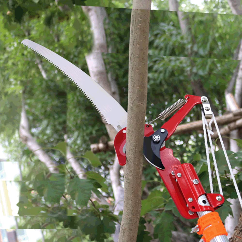 Branch Cutters S Long Reach ,Tree Loppers Long Reach Telescopic, Fruit ...