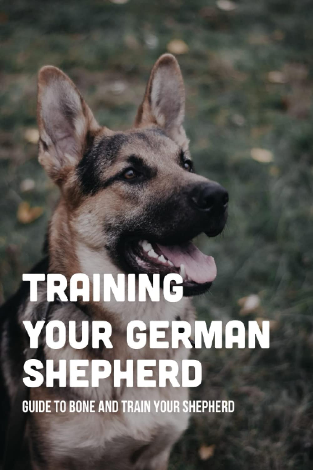 Are Bones Good For German Shepherds