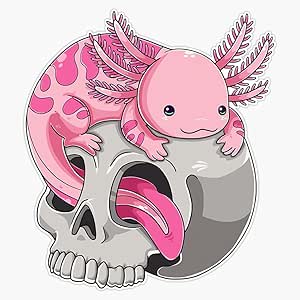 Amazon.com - Axolotl Skull Mexican Salamander Fish Kawaii Aesthetic ...
