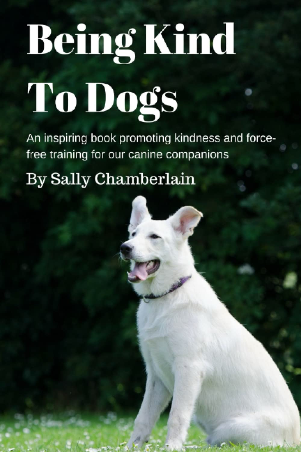 Being Kind To Dogs: An inspiring book promoting kindness and force-free ...