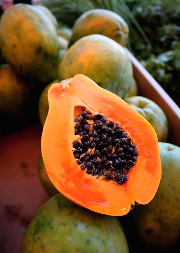 Amazon.com : Hawaiian Solo Papaya Sunrise Seeds (25 Seeds) : Patio ...