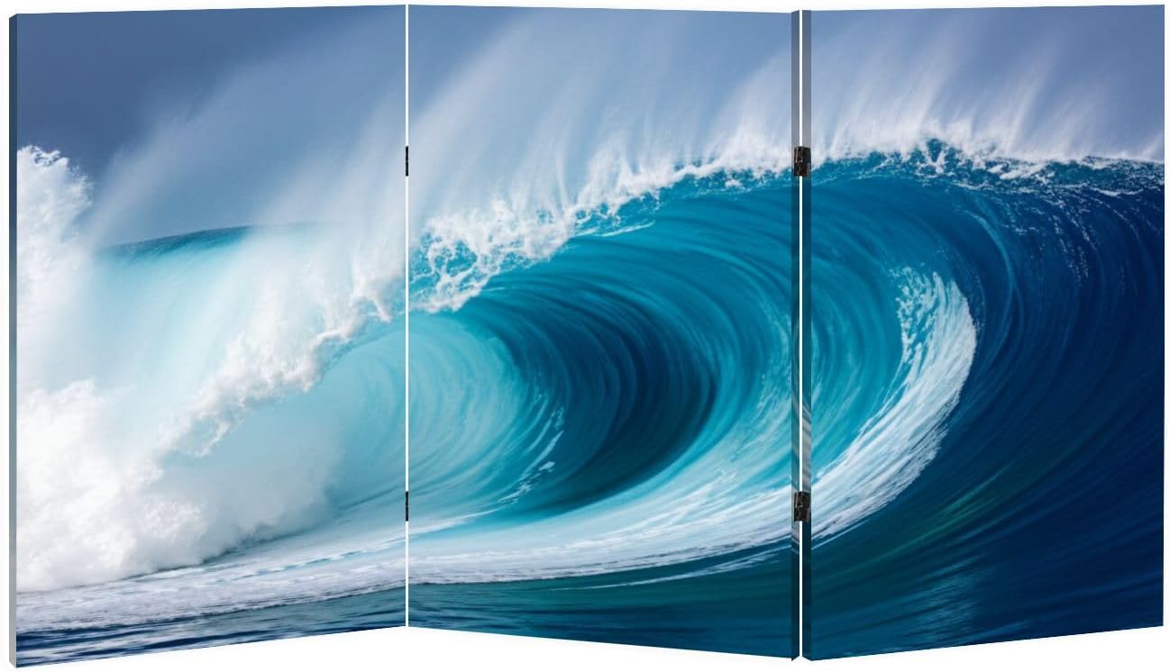 Amazon.com: Small 3 Panels Folding Screen Room Divider Massive Ocean ...