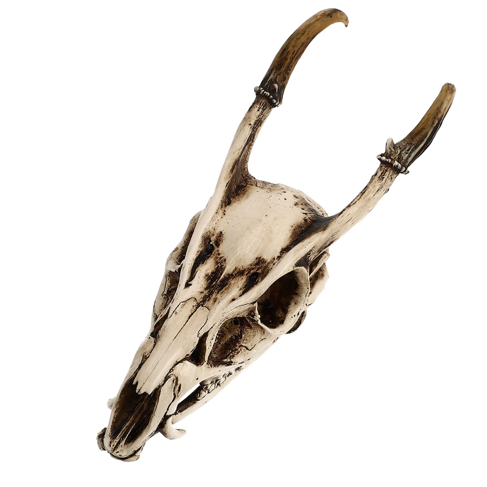 Tribal Animal Skull Designs