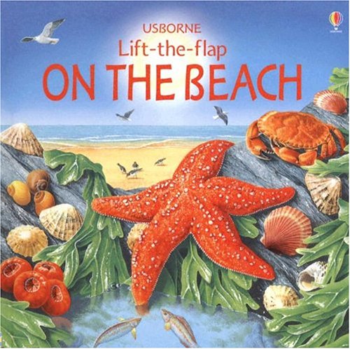 On the Beach (Usborne Lift-The-Flap): Smith, Alastair, Howell, Laura ...