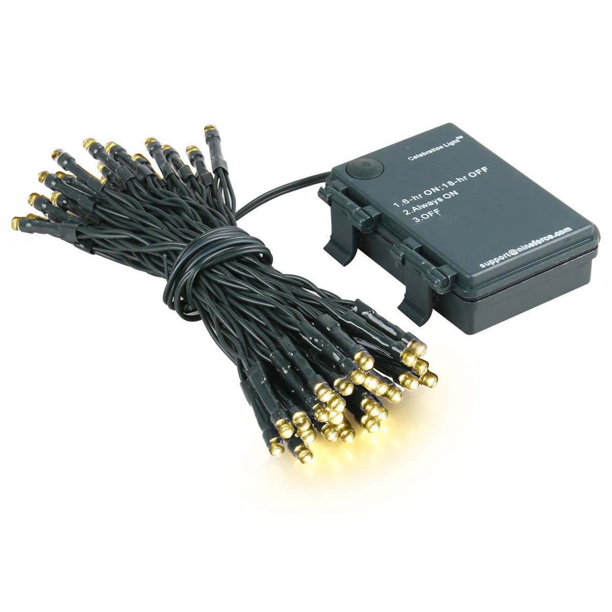 Amazon.com: Battery Operated Christmas Lights, 2 Pack of 17ft 40 LED ...