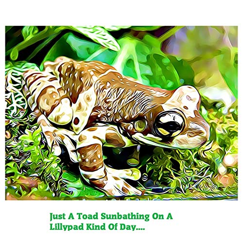 Play Just A Toad Sunbathing On A Lilly Pad Kind Of Day.... by Prodigal ...