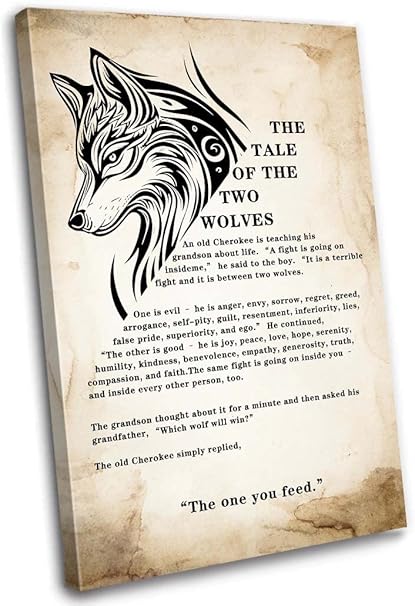Amazon.com: Tale of Two Wolves Wall Art Native American Stories Poster ...