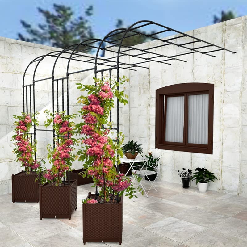 Rosenbogen Halbbogen – Die 15 besten Produkte im Vergleich ...