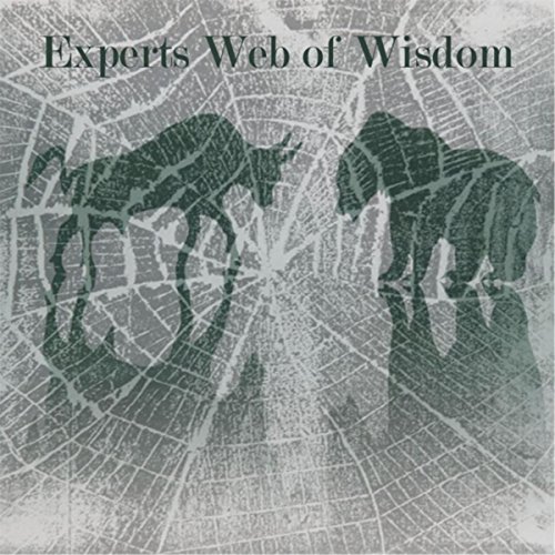 Amazon.com: Experts Web of Wisdom : David Sarauer: Digital Music