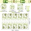 Amazon.com: PIXHOTUL 81 Pcs Avocado Fruit Themed Party Supplies ...