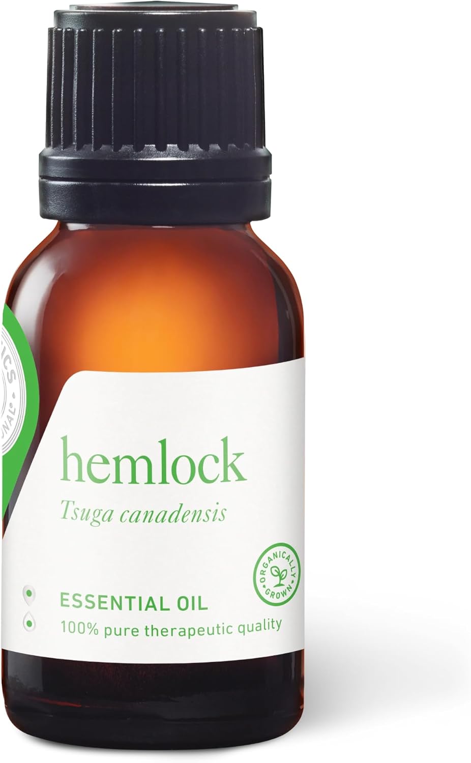Amazon.com: Aromatics International Premium Organic Hemlock Essential ...