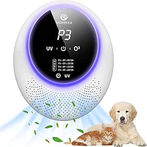 Amazon.com: Morrrer Ozone Machine Odor Removal for Home & Pets ...