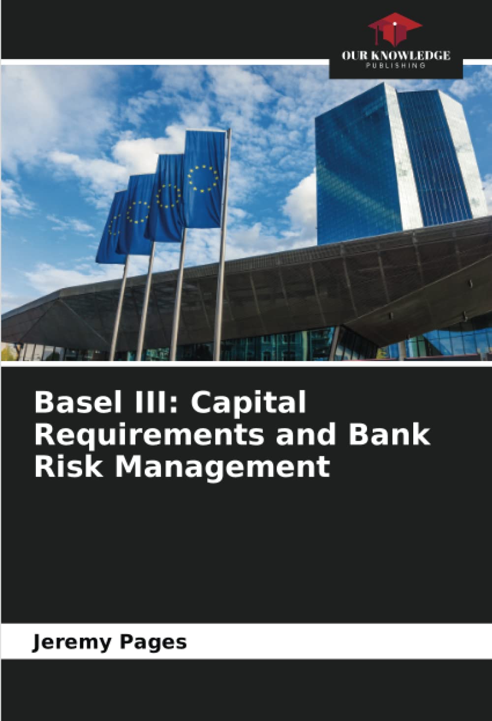 Basel III: Capital Requirements and Bank Risk Management: Pages, Jeremy ...