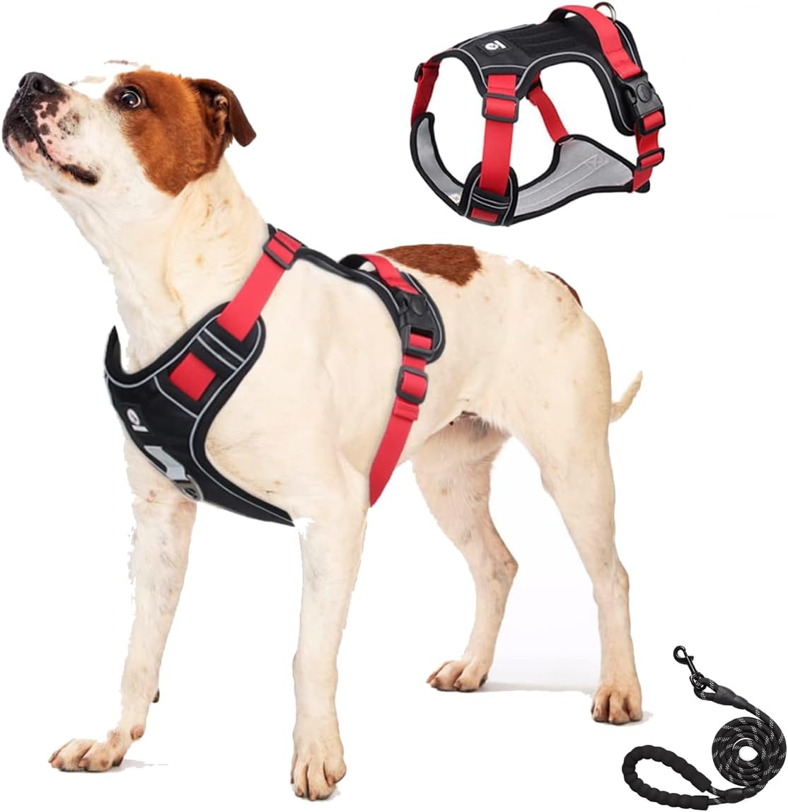 PETFUN Pechera para Perro, Arnés Perro Pecho Grande Mediano Pequeño ...