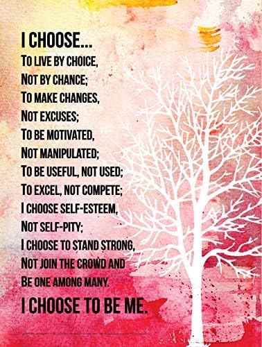 Amazon.com: I Choose to Be Me Laminated Educational Motivational Poster ...