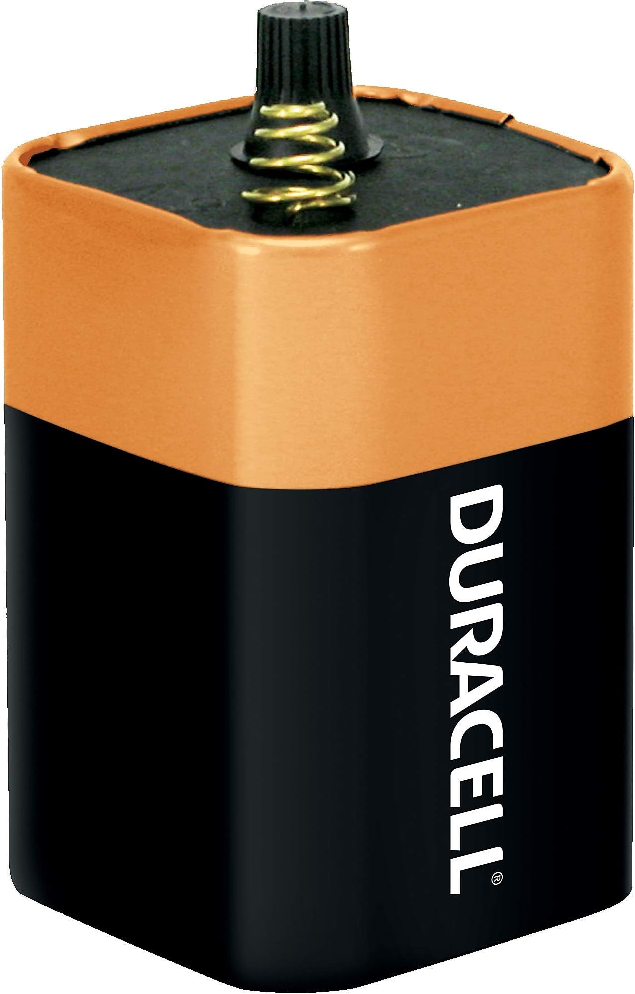 Amazon.com: EVEREADY 6V Battery, Super Heavy Duty 6 Volt Battery, 1 ...